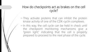 Mutation and cancer | PPTX