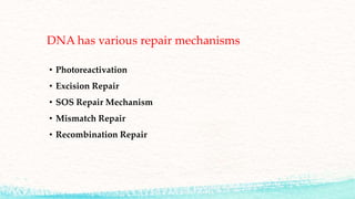 dna repair | PPTX