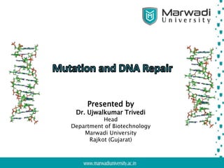 Mutation and DNA repair | PPTX