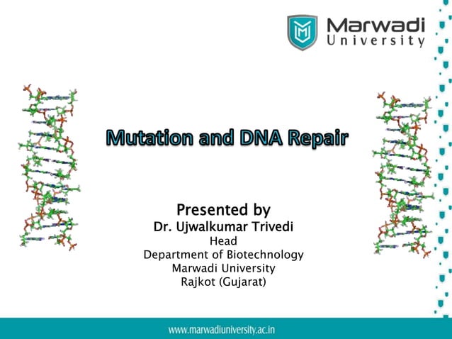 Mutation and DNA repair | PPTX | Chemistry | Science