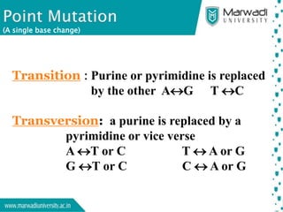 Mutation and DNA repair | PPTX