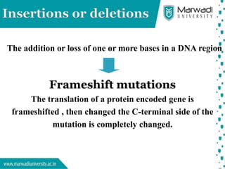 Mutation and DNA repair | PPTX