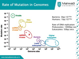 Mutation and DNA repair | PPTX