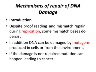 MUTATION AND DNA REPAIR.pptx