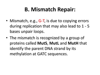 MUTATION AND DNA REPAIR.pptx
