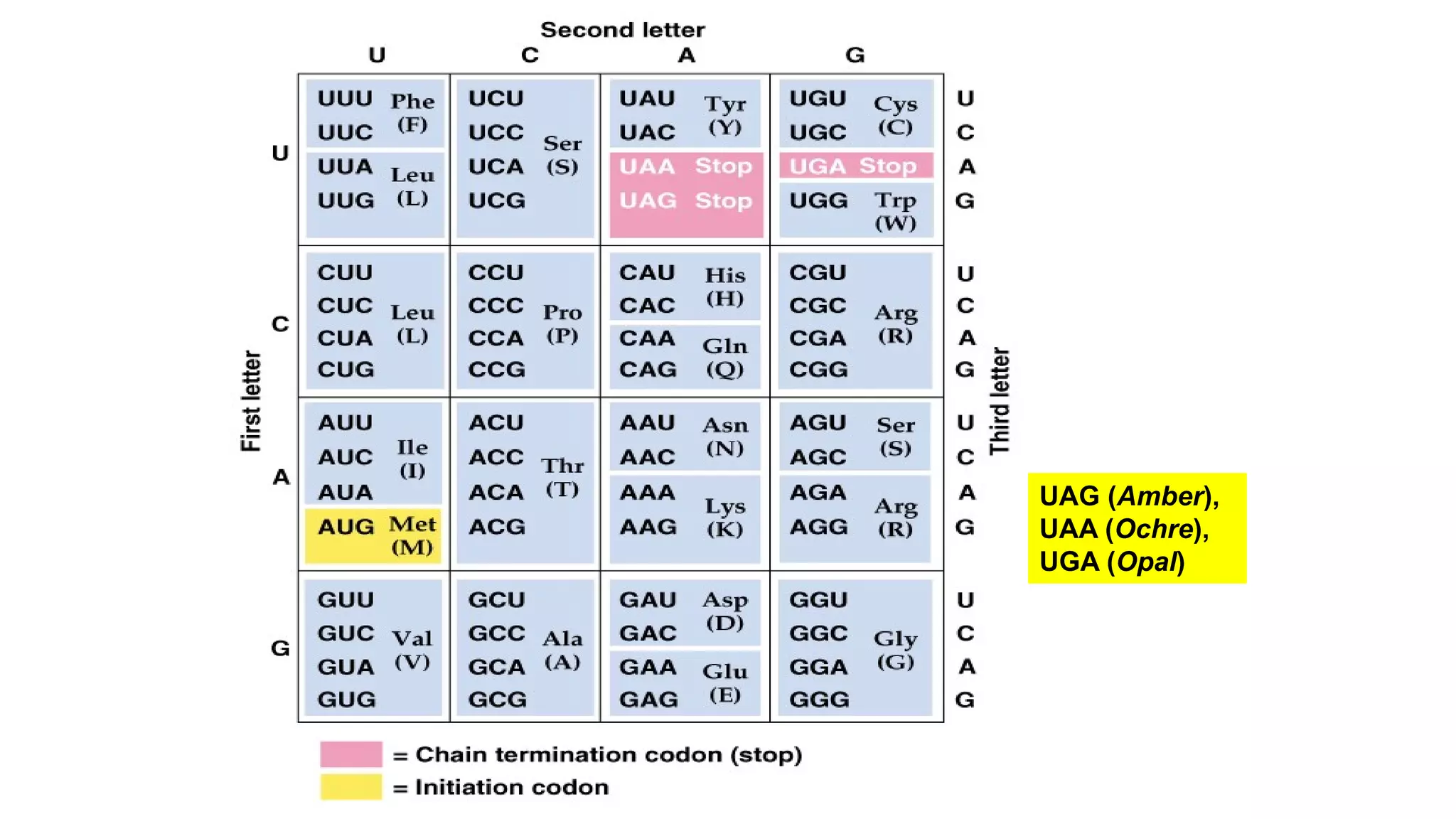 Mutation and DNA repair.pdf