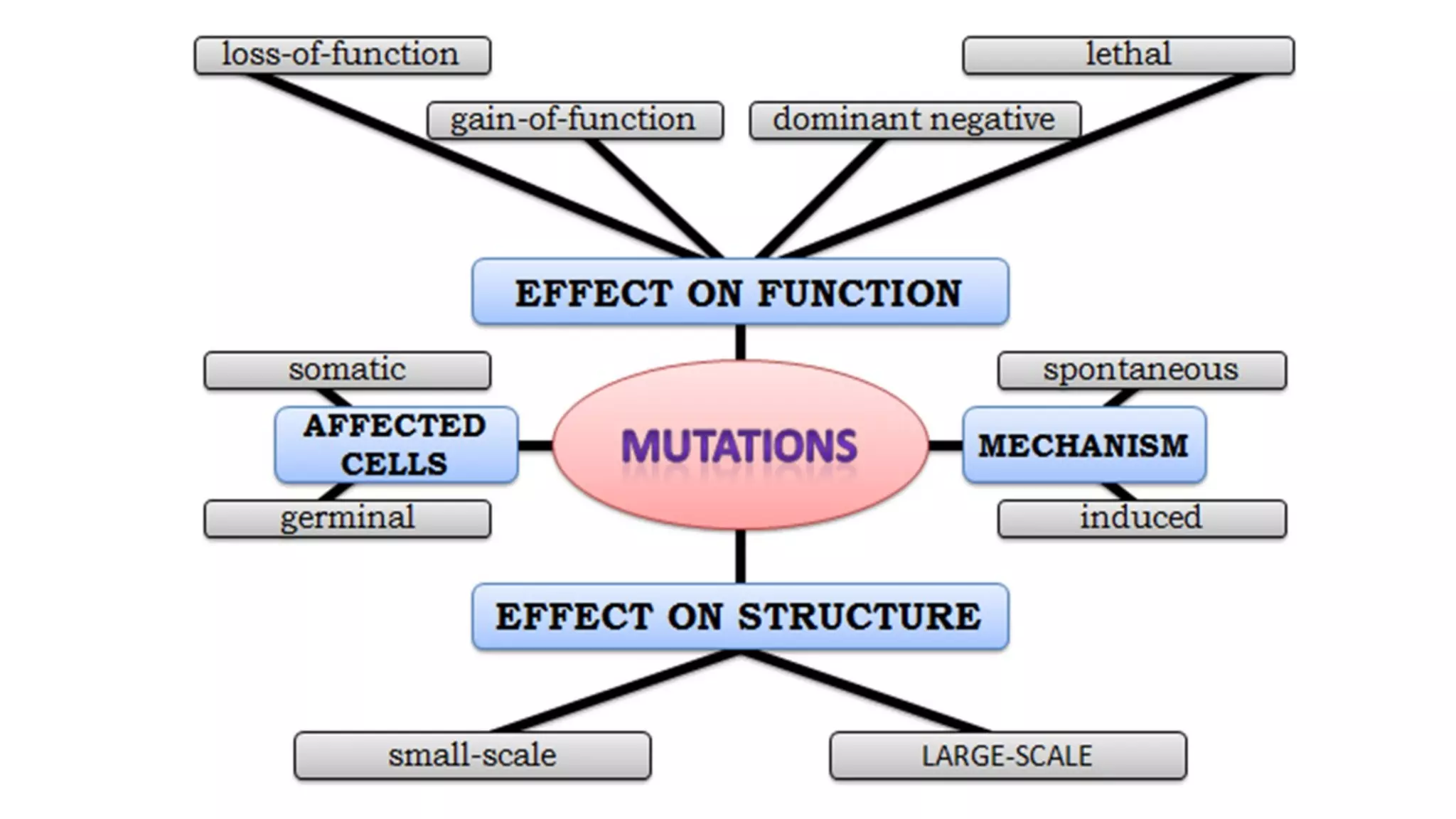 Mutation and DNA repair.pdf