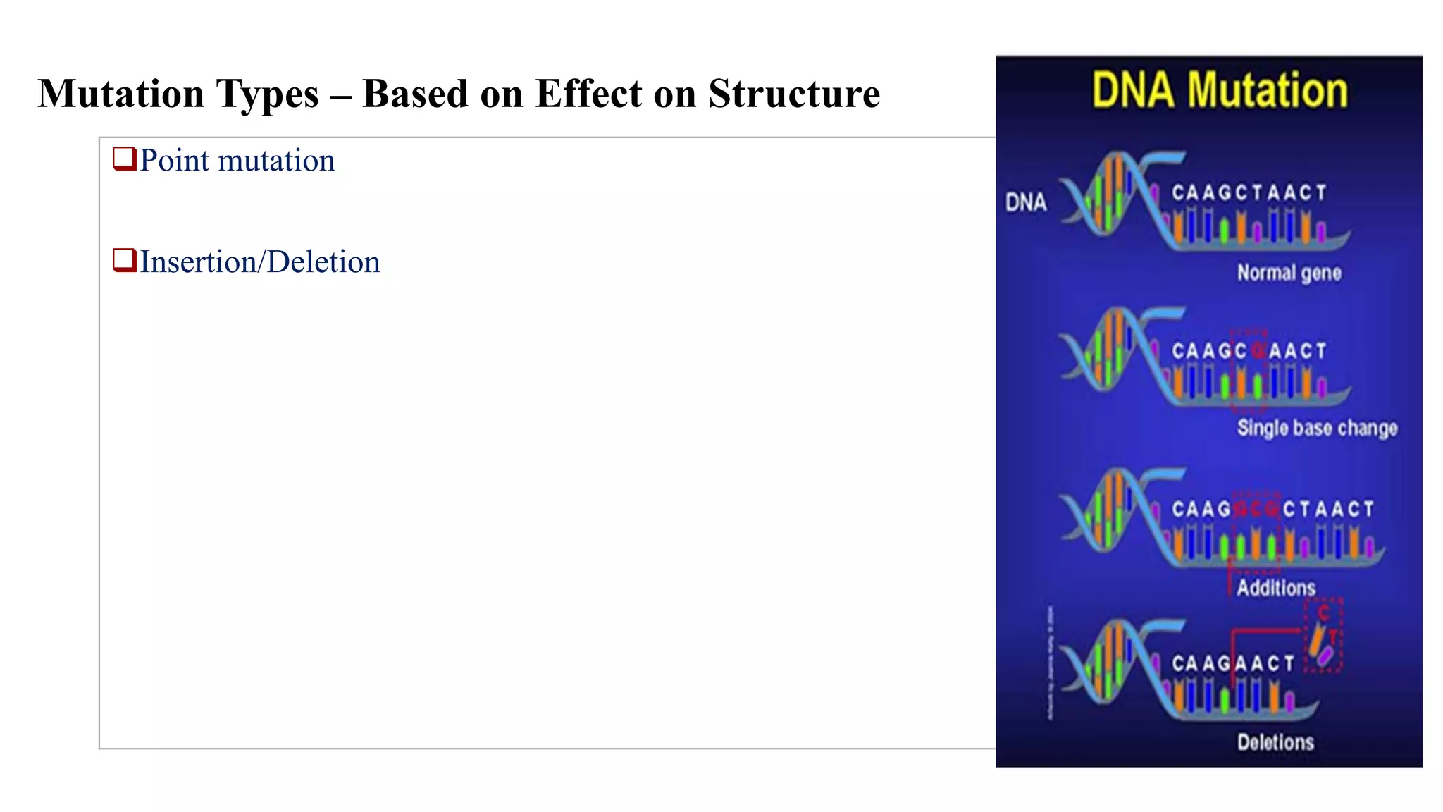Mutation and DNA repair.pdf