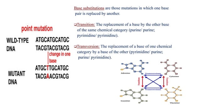 Mutation and DNA repair.pdf