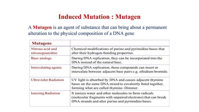 Mutation and DNA repair.pdf