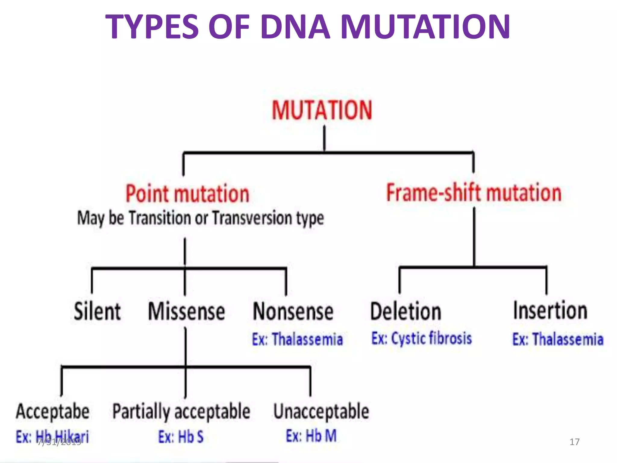 Mutation and DNA repair mechanism | PPTX