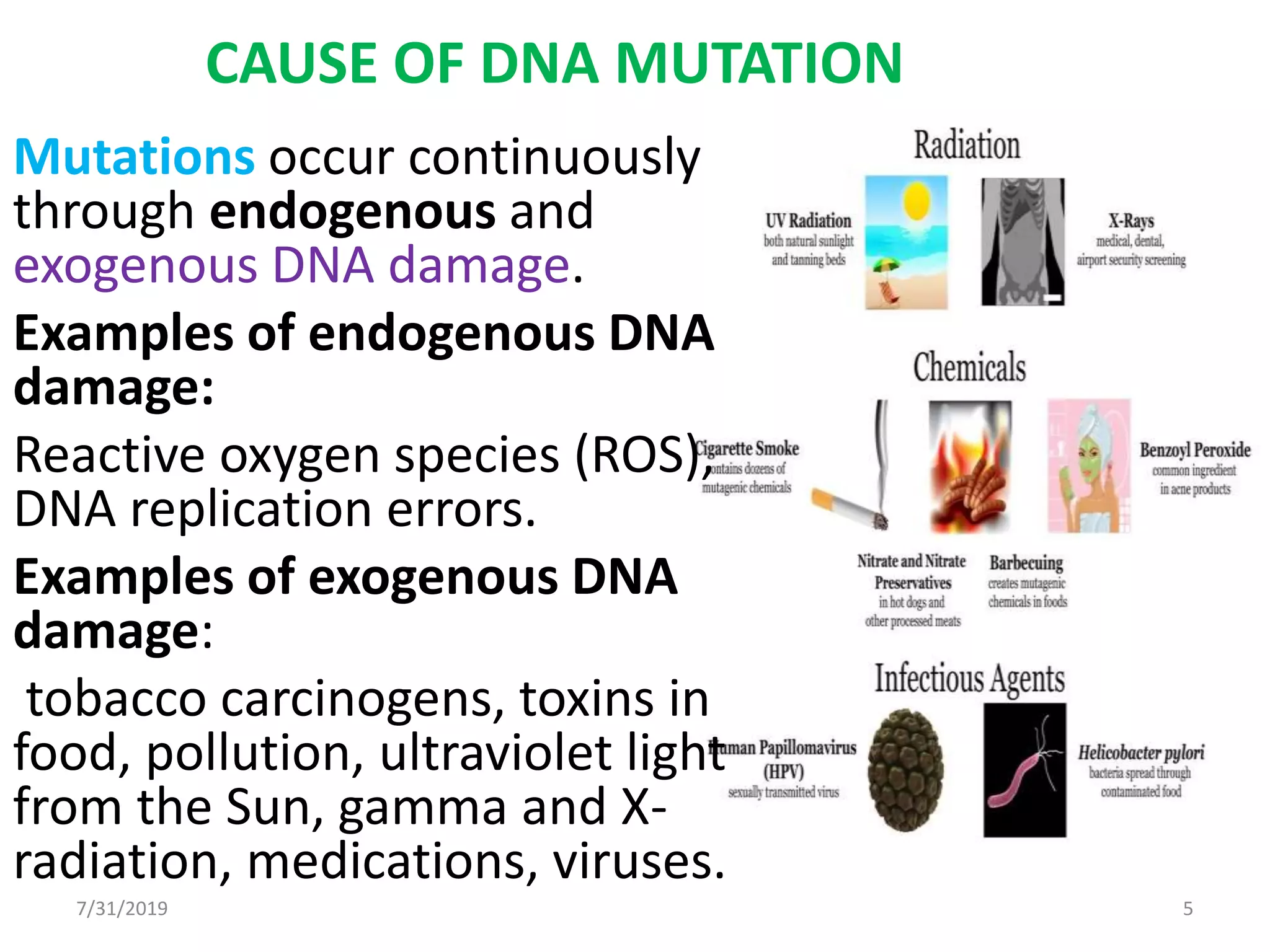 Mutation and DNA repair mechanism | PPTX