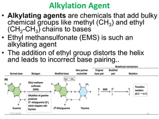 Mutation and DNA repair mechanism | PPTX