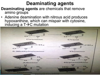Mutation and DNA repair mechanism | PPTX