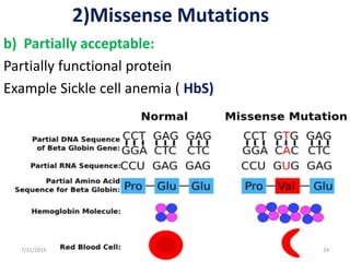 Mutation and DNA repair mechanism | PPTX