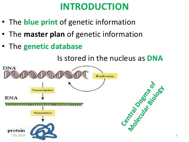 Mutation and DNA repair mechanism