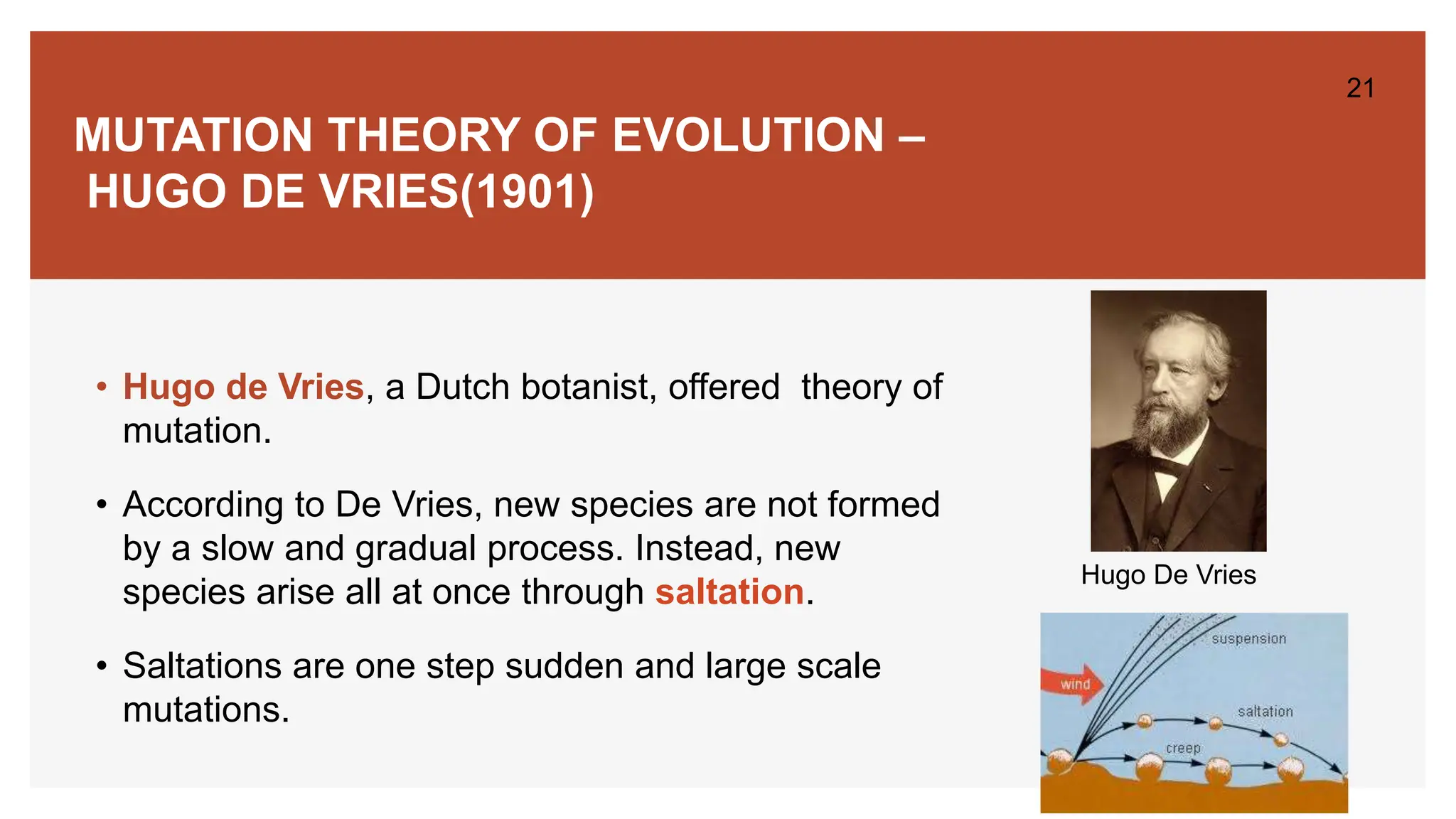 mutation and its evolutionary significance | PPTX