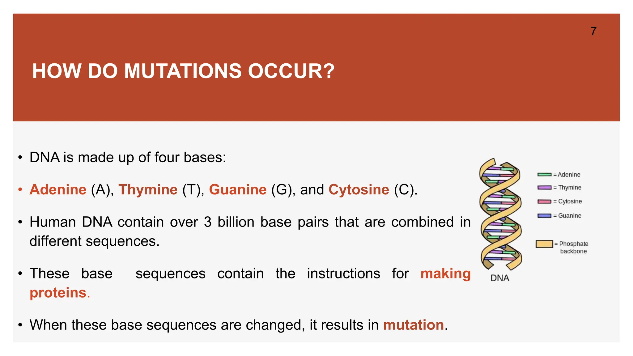 mutation and its evolutionary significance | PPTX