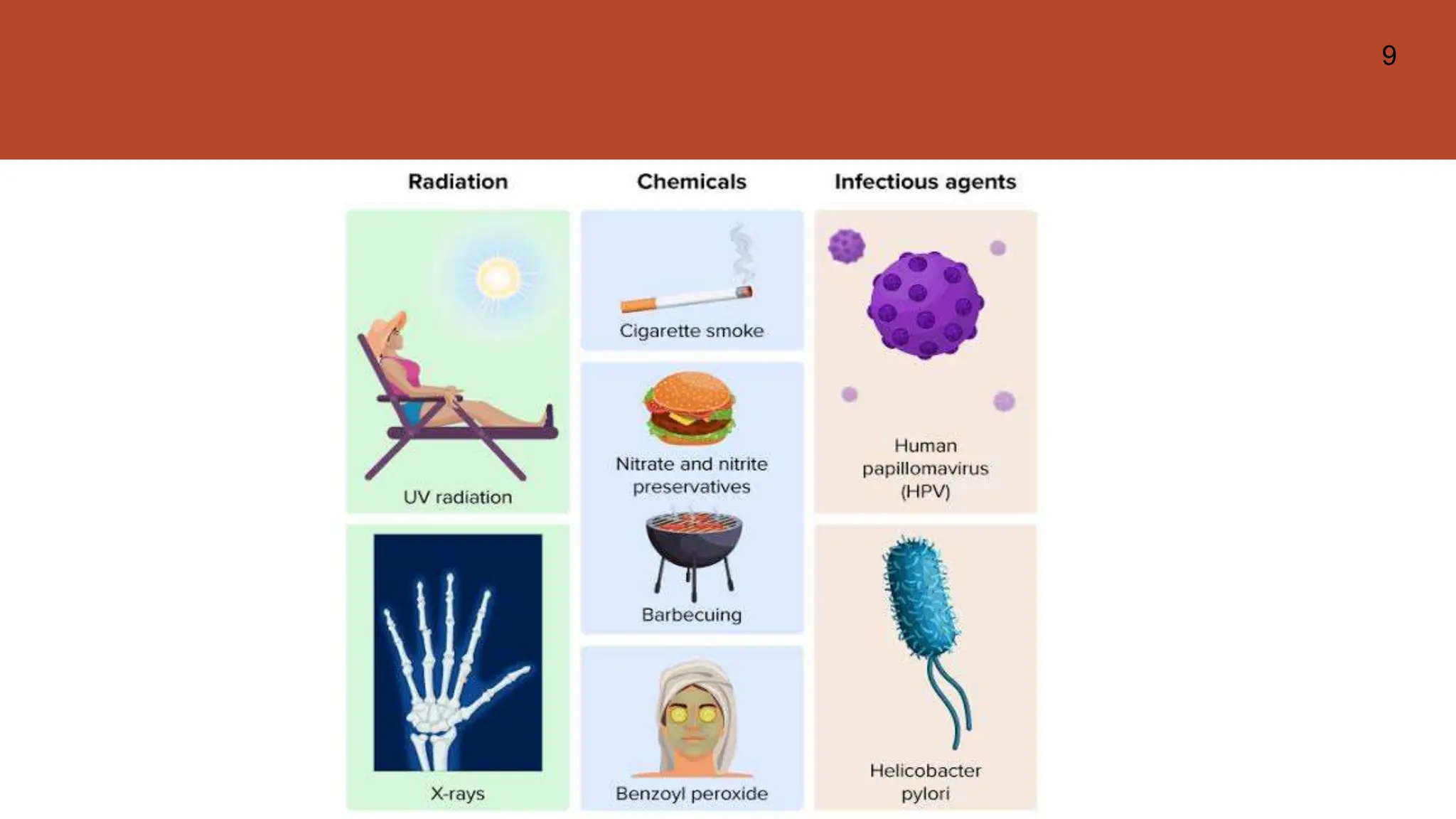 mutation and its evolutionary significance | PPTX