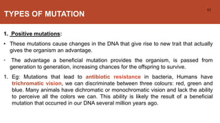 mutation and its evolutionary significance | PPTX