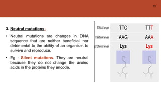 mutation and its evolutionary significance | PPTX