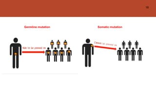 mutation and its evolutionary significance | PPTX