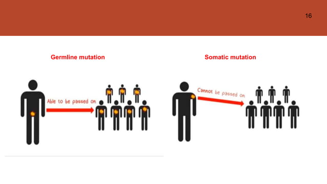 mutation and its evolutionary significance | PPTX