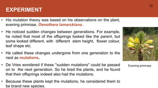 mutation and its evolutionary significance | PPTX