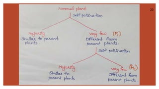 mutation and its evolutionary significance | PPTX