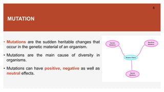 mutation and its evolutionary significance | PPTX