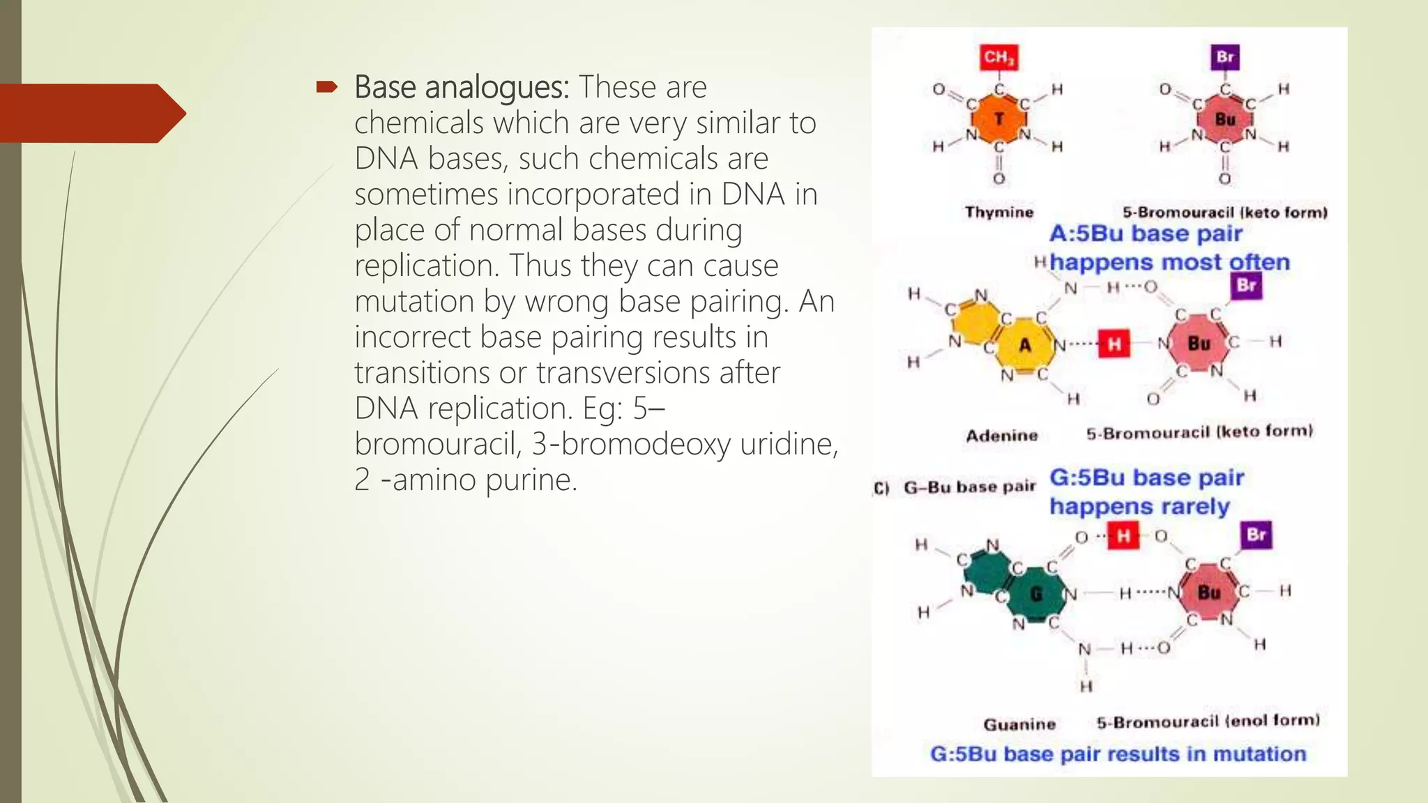 Mutation and its role in Crop Improvement | PPTX