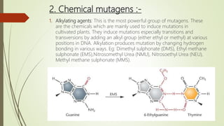 Mutation and its role in Crop Improvement | PPTX
