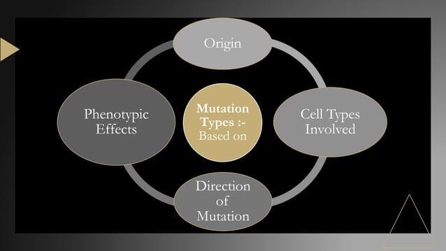 Gene Mutation its types and importance of mutation | PPTX