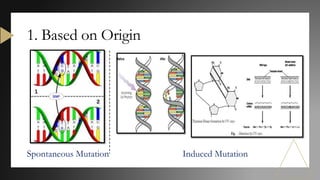 Gene Mutation its types and importance of mutation | PPTX