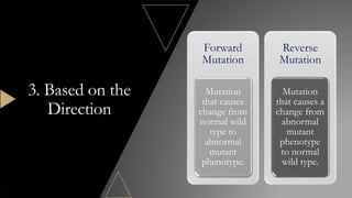 Gene Mutation its types and importance of mutation | PPTX