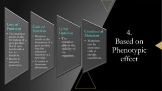Gene Mutation its types and importance of mutation | PPTX