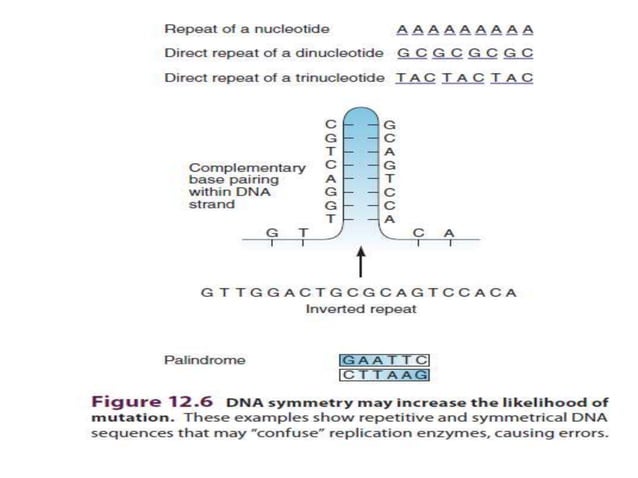Mutation and its types | PPTX