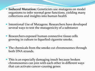 Mutation and its types | PPTX