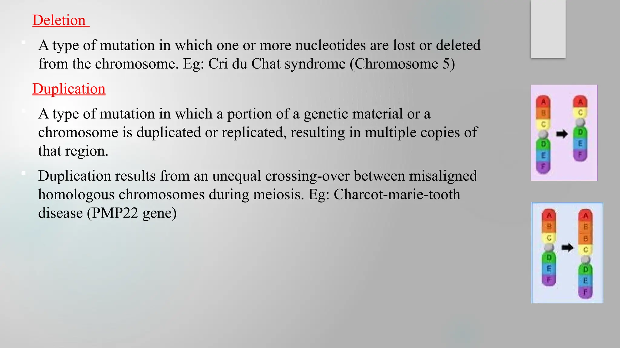 Mutation and it’s types,plants genetics and animal genetics .pptx
