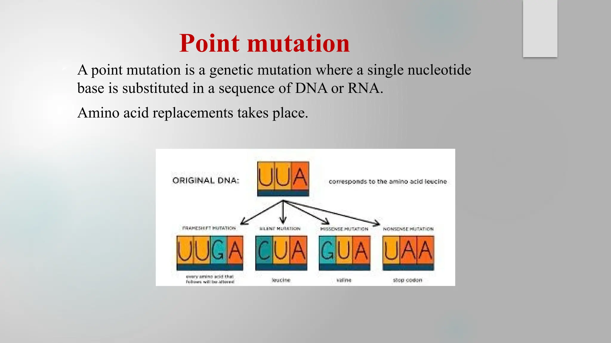 Mutation and it’s types,plants genetics and animal genetics .pptx