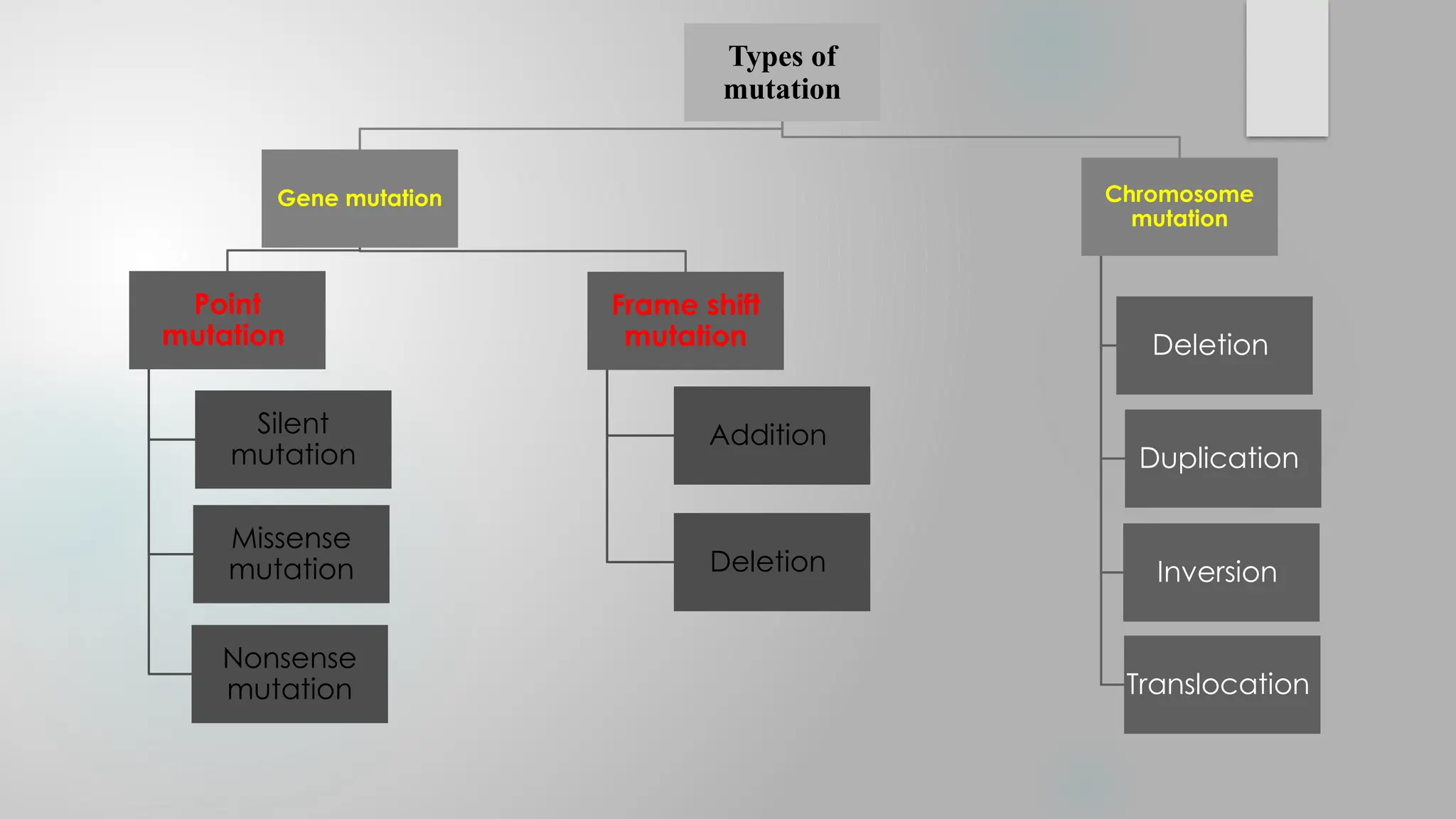 Mutation and it’s types in humans in ivri.pptx