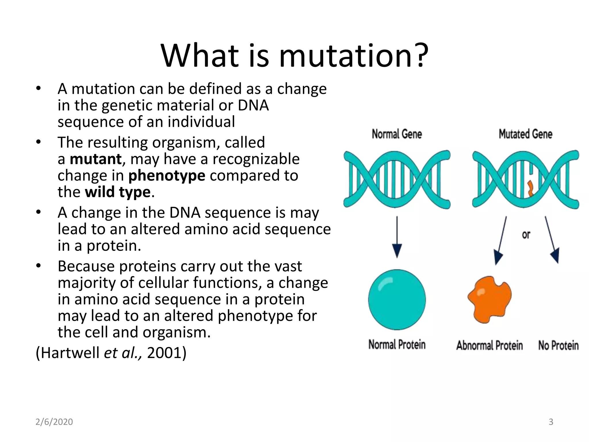 Mutation and mutagens | PPTX