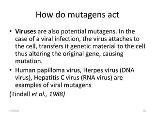 Mutation and mutagens | PPTX