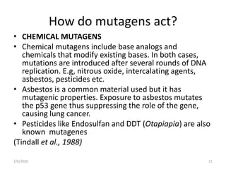 Mutation and mutagens | PPTX