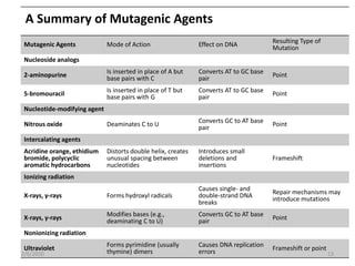 Mutation and mutagens | PPTX