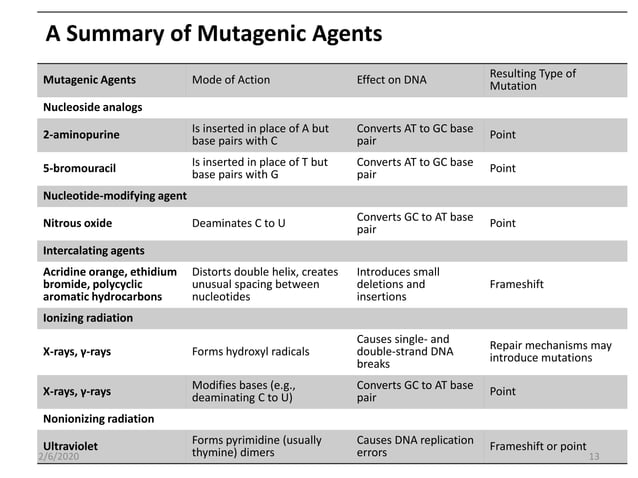 Mutation and mutagens | PPTX