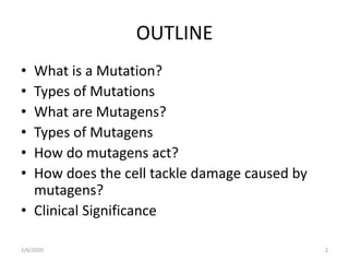 Mutation and mutagens | PPTX