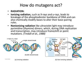 Mutation and mutagens | PPTX