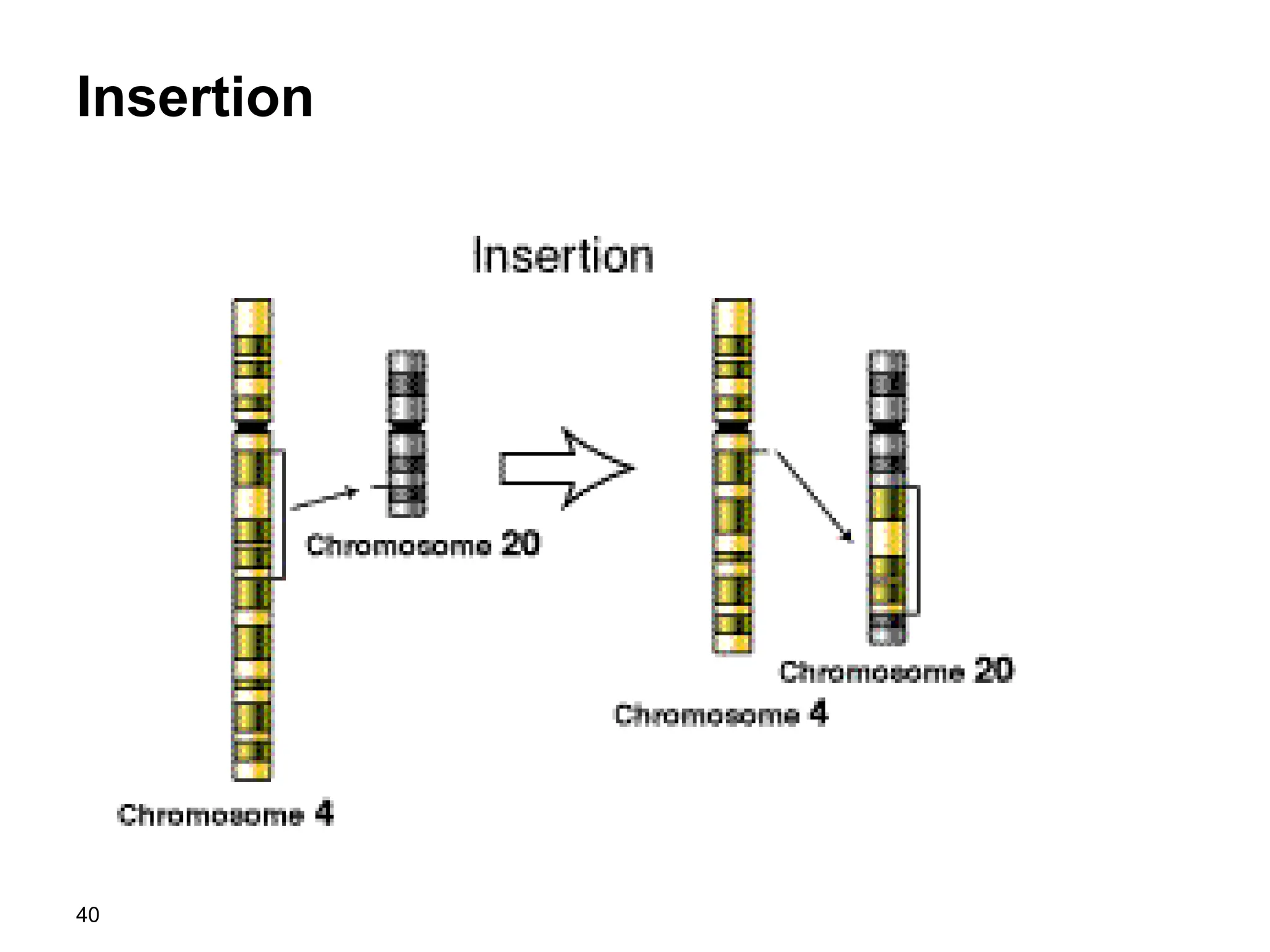 mutation and plasmid for medical laboratory | PPT
