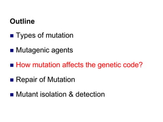 mutation and plasmid for medical laboratory | PPT